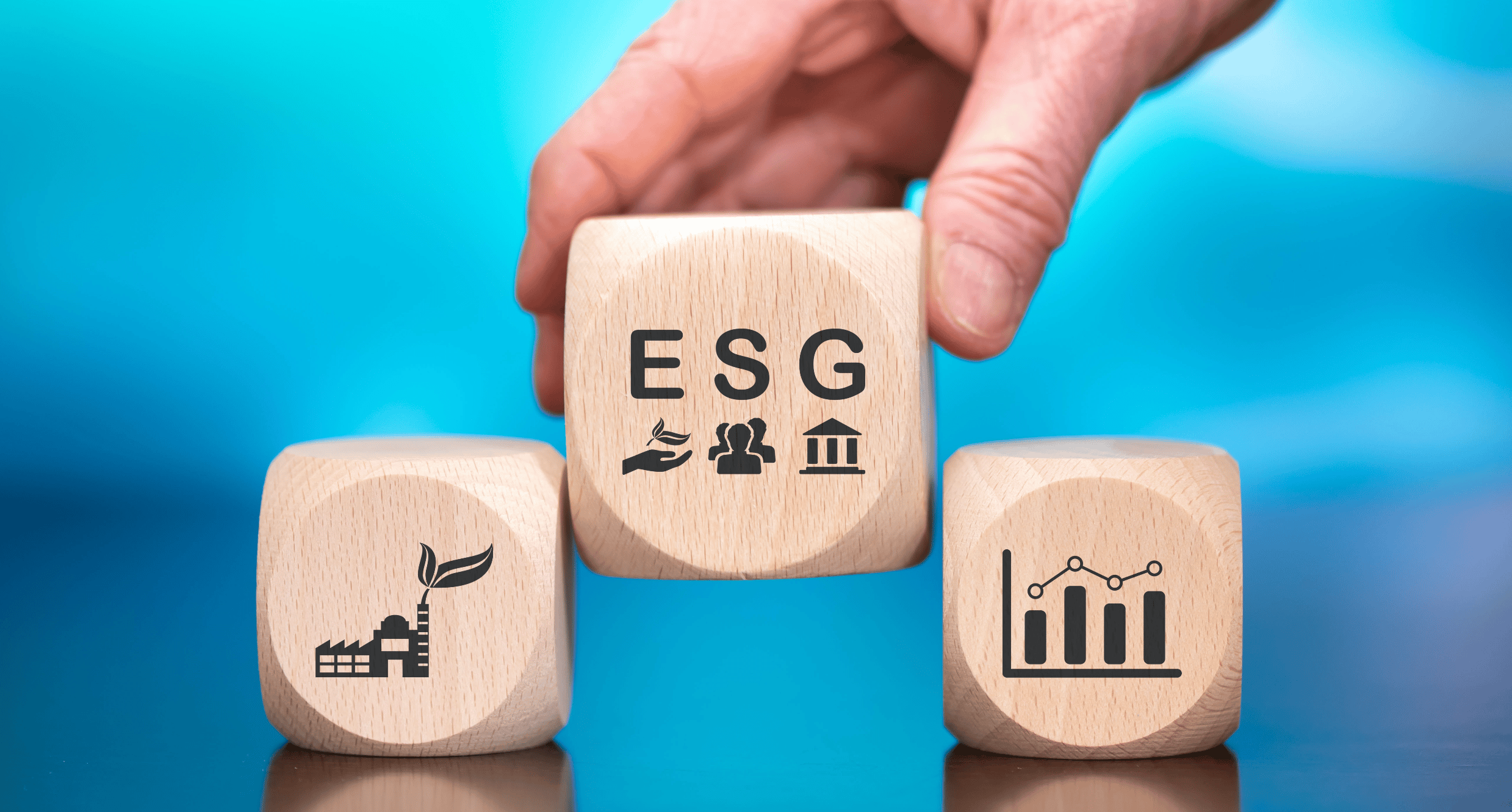IFRS and EFRAG’s New Sustainability Reporting Standards